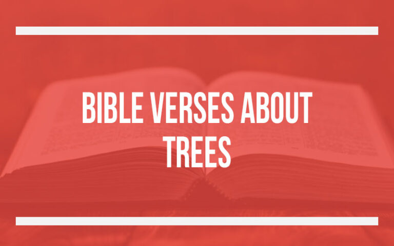 40 Bible Verses About Trees - Holy Bible Word