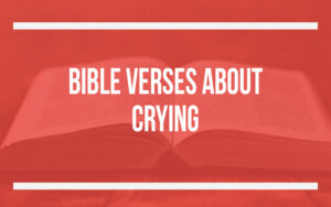 40 Bible Verses About Crying - Holy Bible Word