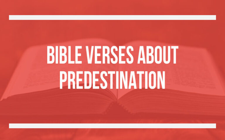 40 Bible Verses About Predestination - Holy Bible Word