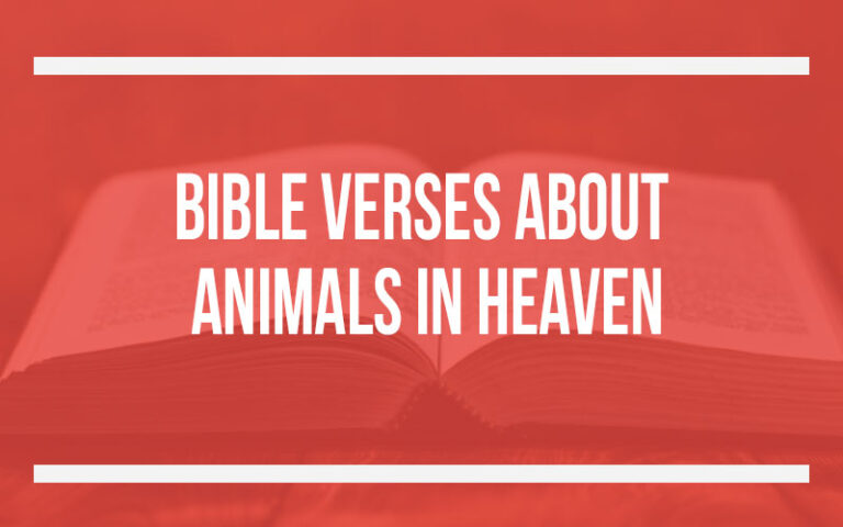 40 Bible Verses About Animals In Heaven - Holy Bible Word