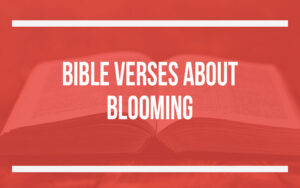 40 Bible Verses About Blooming - Holy Bible Word