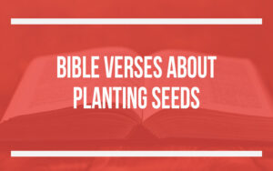 40 Bible Verses About Planting Seeds - Holy Bible Word