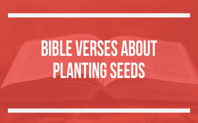 40 Bible Verses About Planting Seeds - Holy Bible Word