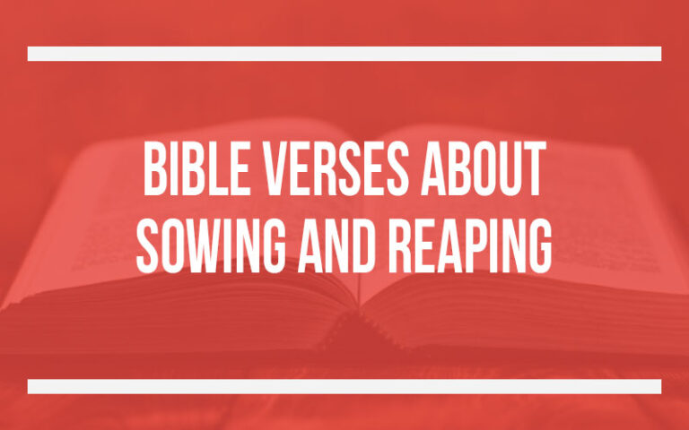 40 Bible Verses About Sowing And Reaping - Holy Bible Word