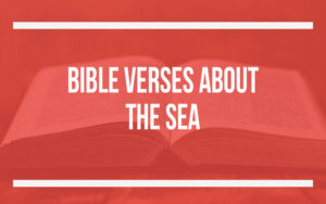 40 Bible Verses About The Sea - Holy Bible Word