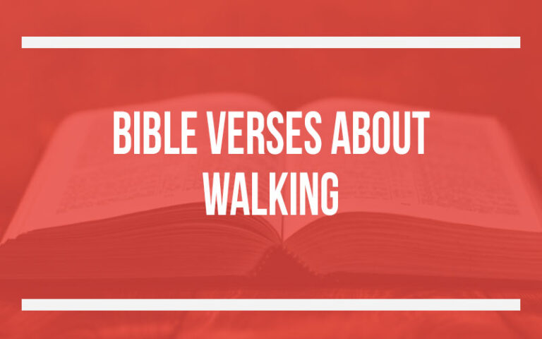 40 Bible Verses About Walking - Holy Bible Word