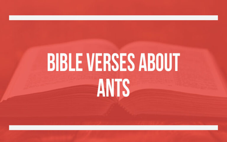 40 Bible Verses About Ants - Holy Bible Word