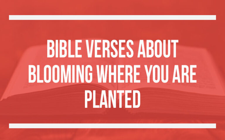 40 Bible Verses About Blooming Where You Are Planted - Holy Bible Word