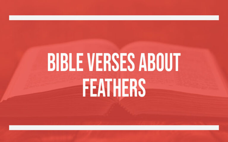 40 Bible Verses About Feathers - Holy Bible Word