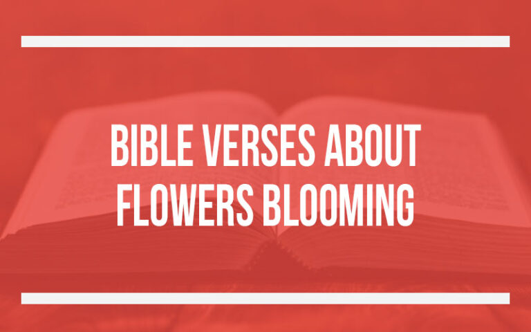 40 Bible Verses About Flowers Blooming - Holy Bible Word