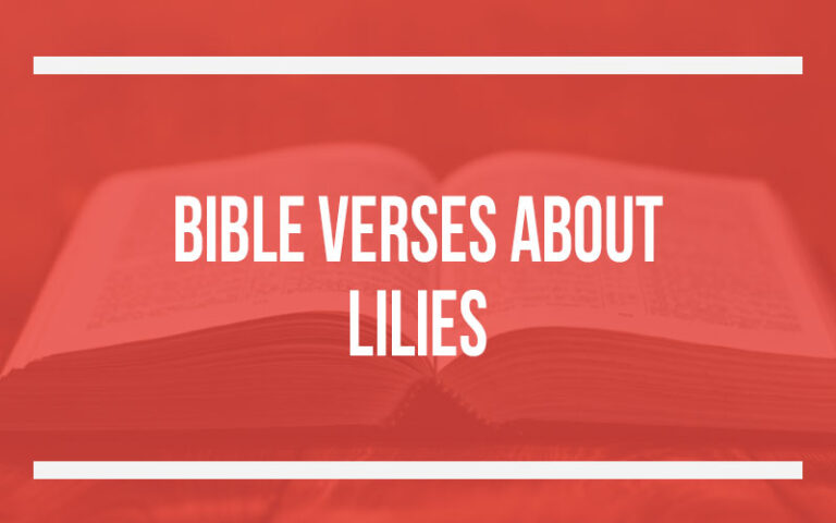 40 Bible Verses About Lilies - Holy Bible Word