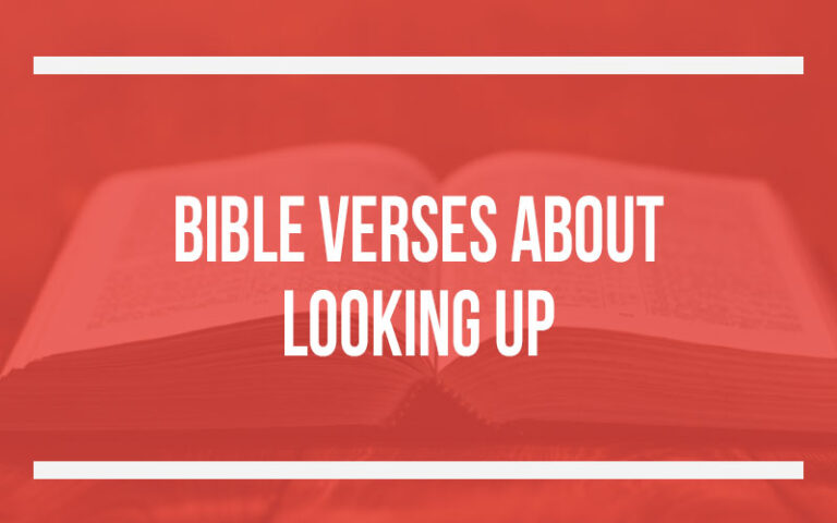 40 Bible Verses About Looking Up - Holy Bible Word