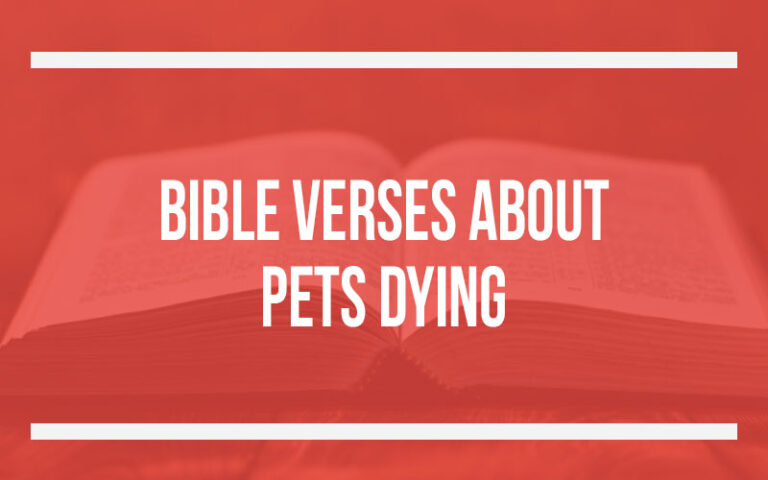 40 Bible Verses About Pets Dying - Holy Bible Word
