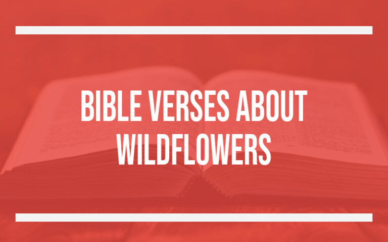 40 Bible Verses About Wildflowers - Holy Bible Word