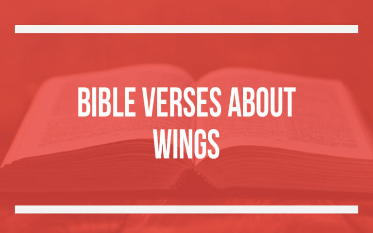 40 Bible Verses About Wings - Holy Bible Word