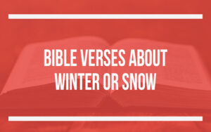 40 Bible Verses About Winter Or Snow - Holy Bible Word