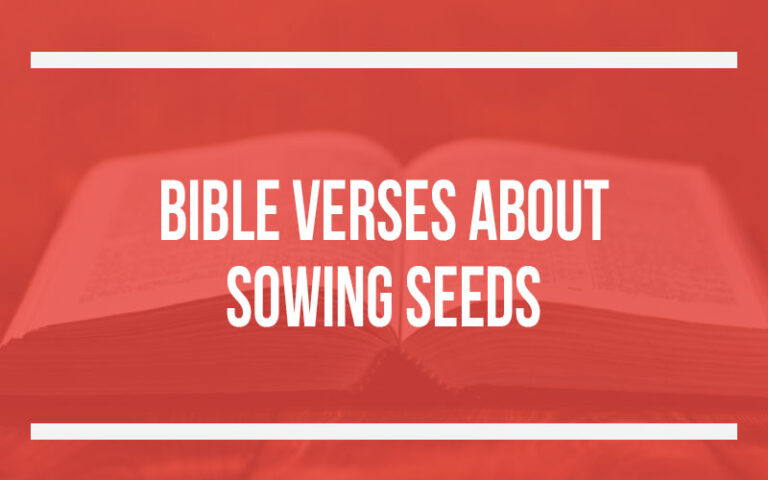 40 Bible Verses About Sowing Seeds - Holy Bible Word